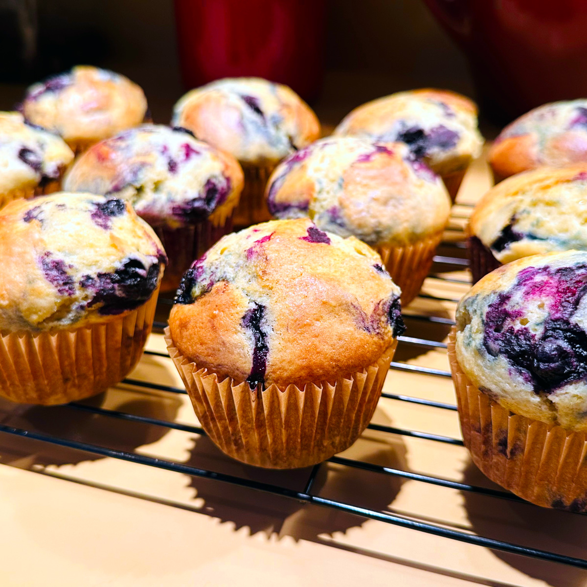 Wild Blueberry Muffins - Secret Kitchen Society